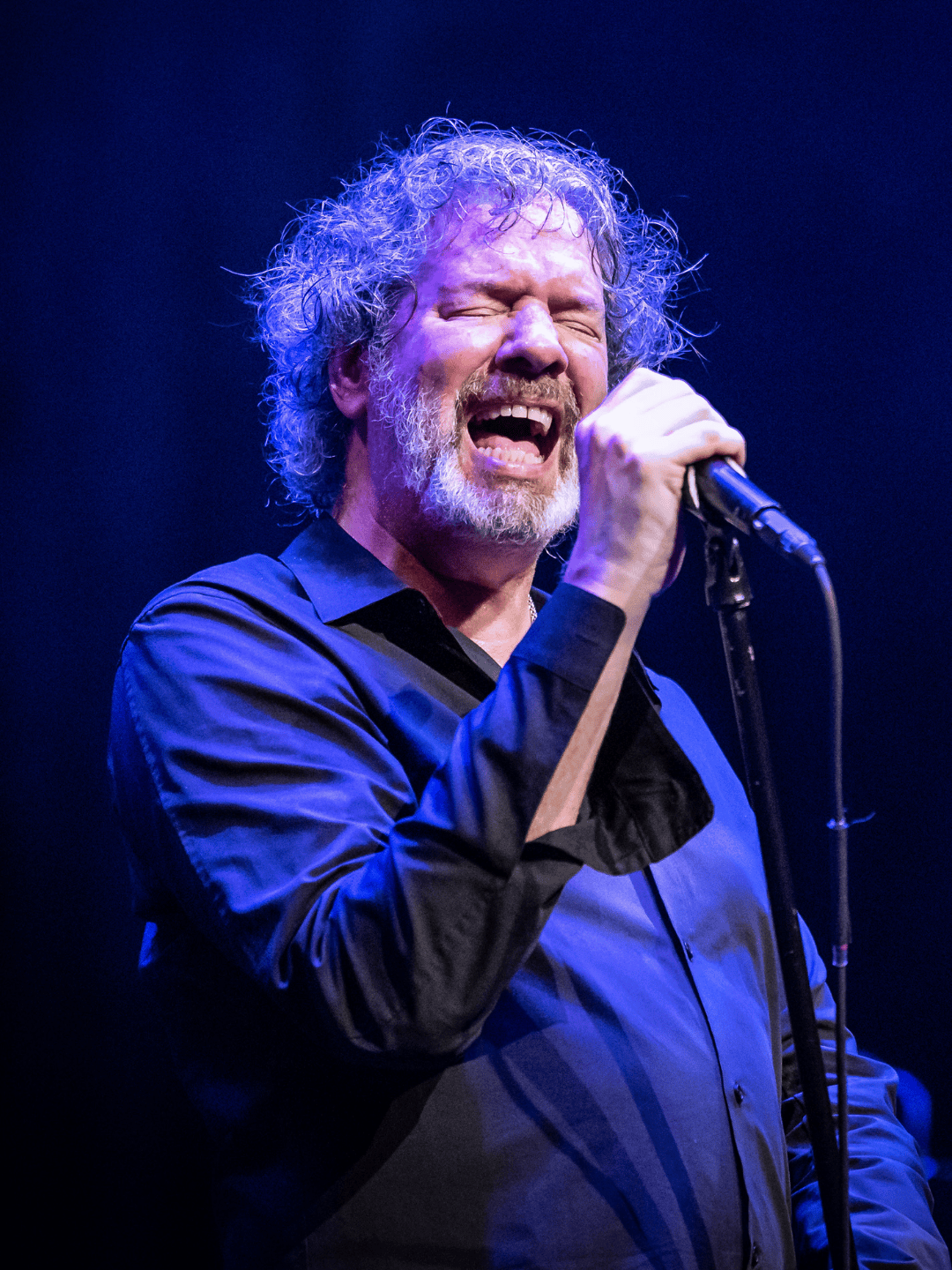 Musicians - Classic Albums Live